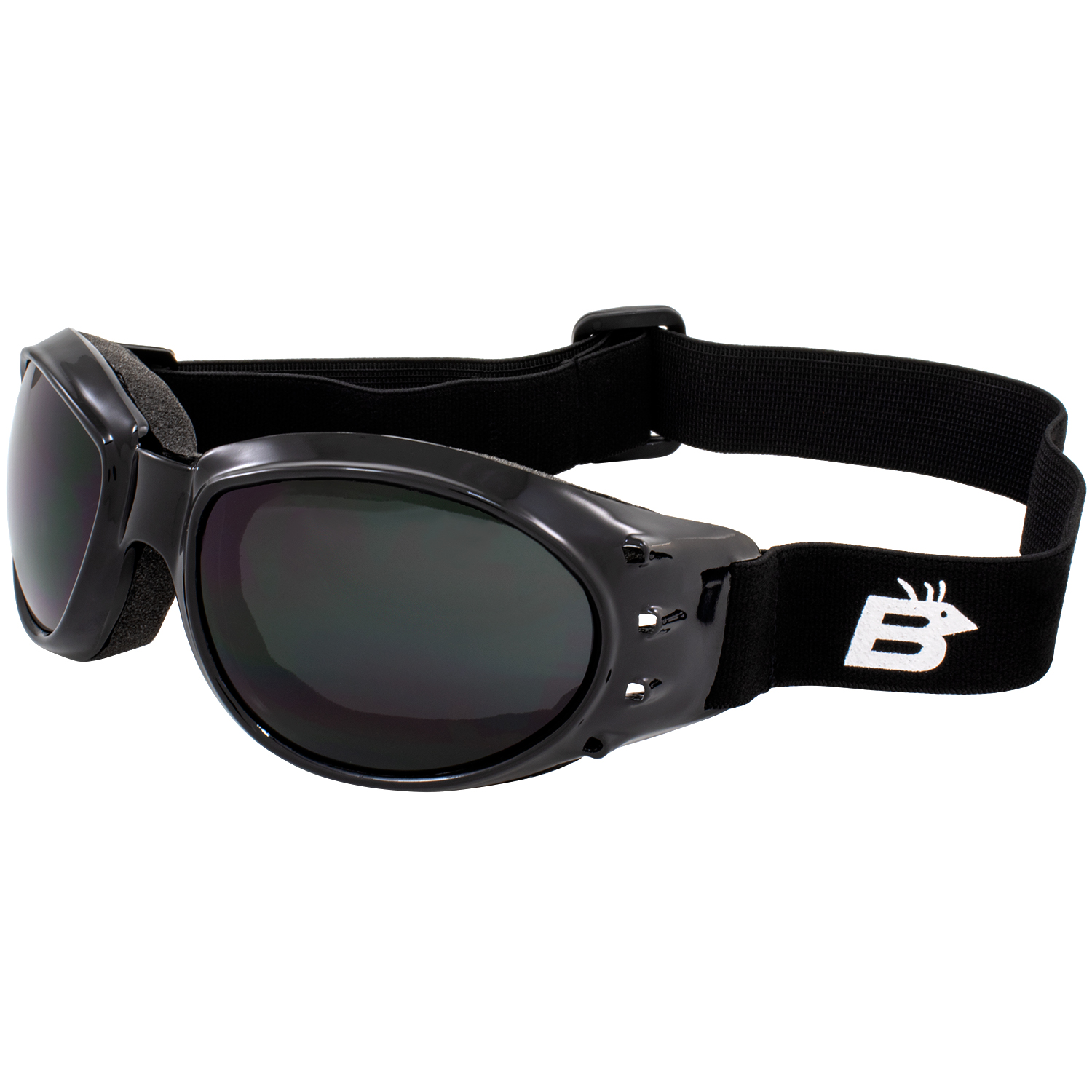 Birdz Eyewear Eagle Padded Motorcycle Goggles Anti Fog 2 Pairs Black ...