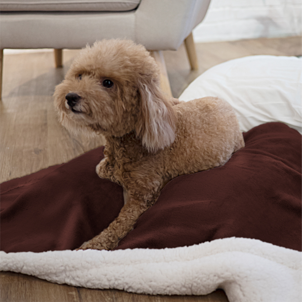 WATERPROOF Dog Blanket Pet Throw Couch Protect Furniture Bed S M Dog ...
