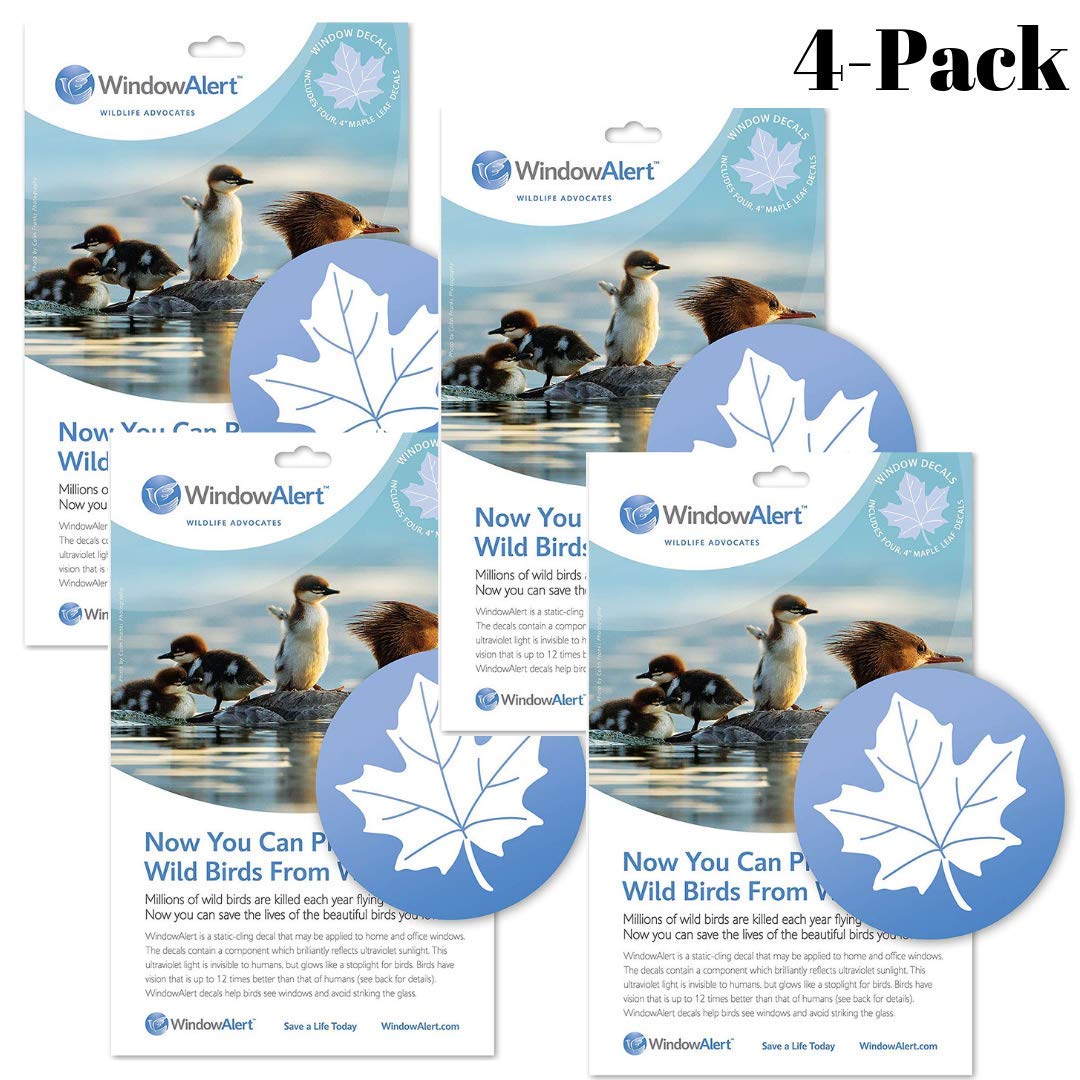 WindowAlert Maple Leaf Decals | eBay