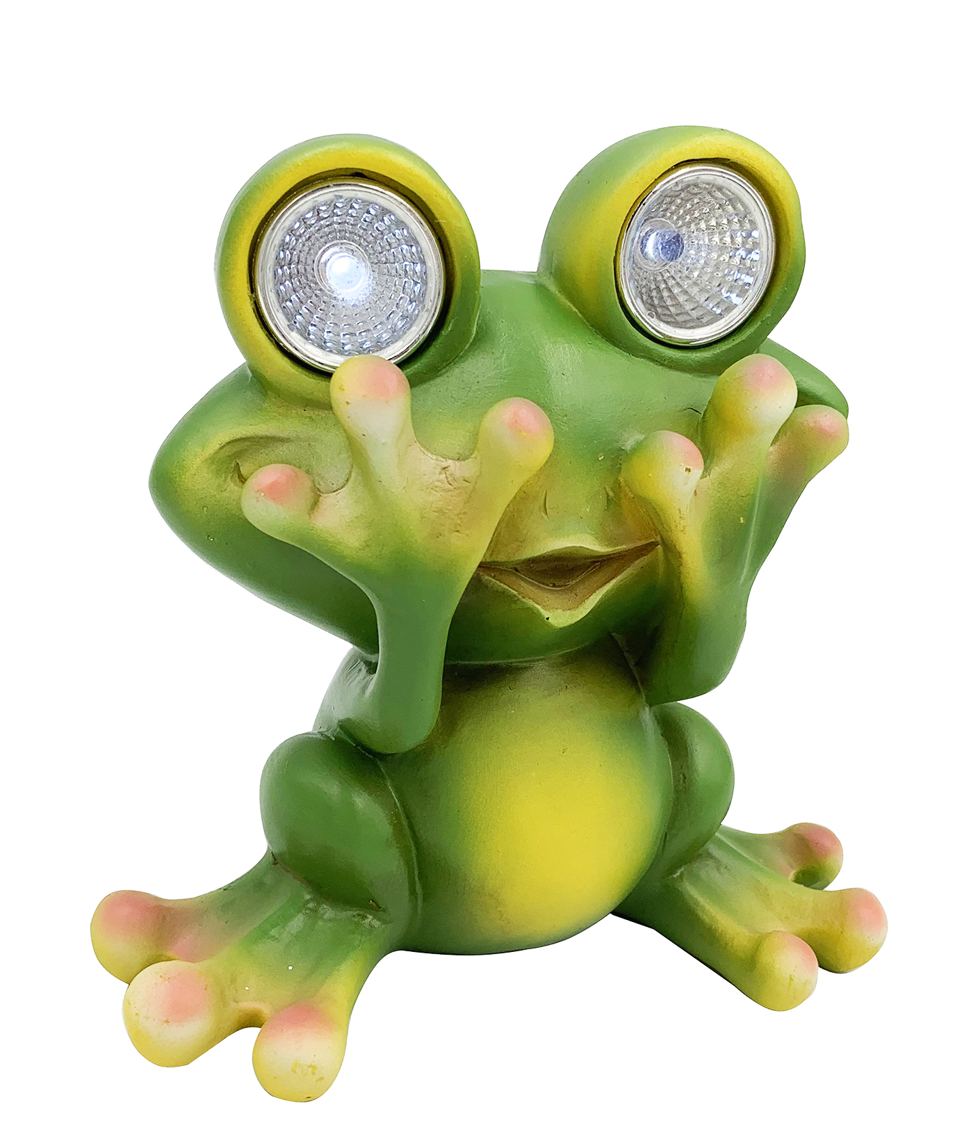 Solar Powered Frog Outdoor LED Garden Light Decor (SEE - NO ...