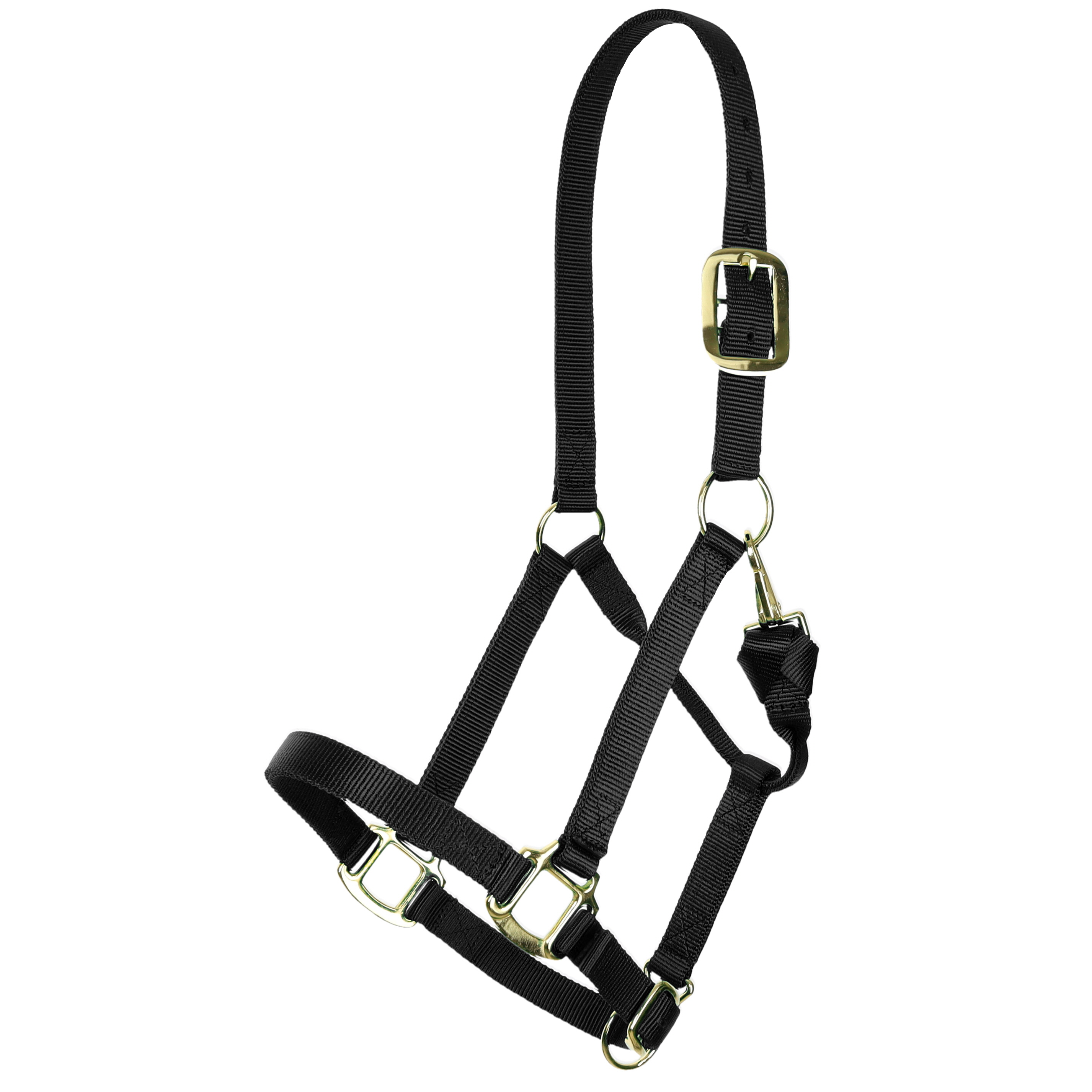 Showman Deluxe Nylon Halter w/ Throat Clip | eBay
